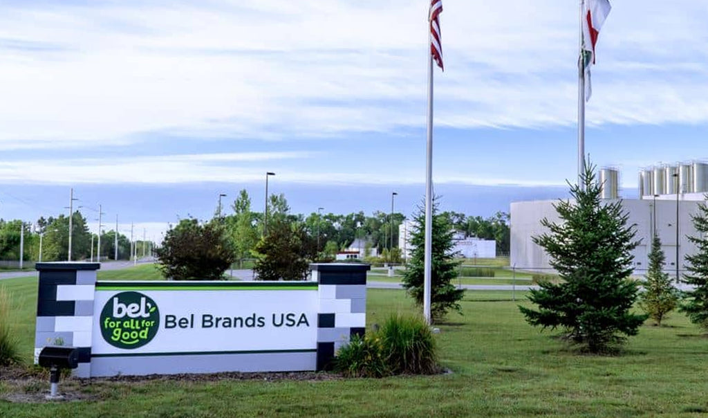 Little Cheese Boutique - Wisconsin Cheese Merch & Collectibles